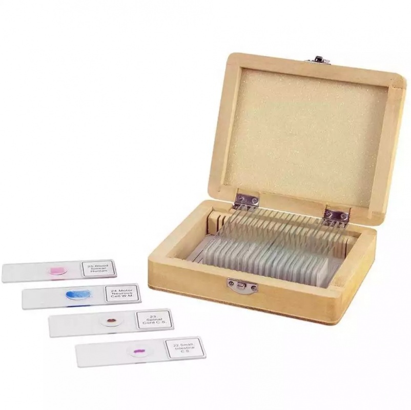 Celestron 25pc Prepared Specimen Microscope Slide Set - Rother Valley ...